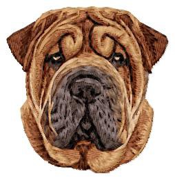 Shar Pei - DD216